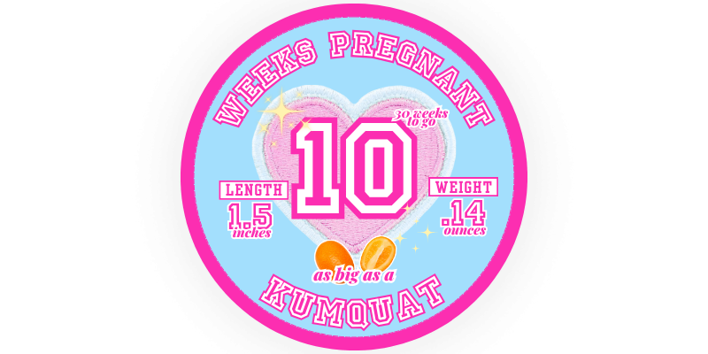 10 Weeks Pregnant
